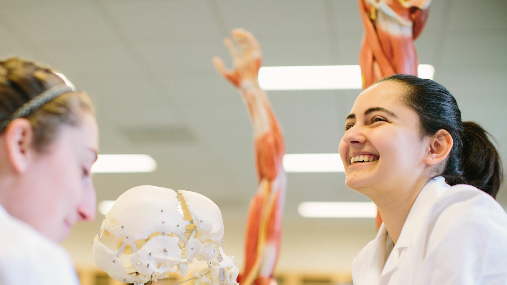 Biomedical Sciences Major | Houghton University