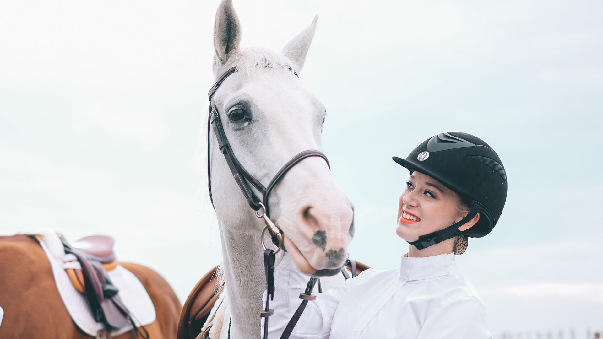 Equestrian Studies FAQ | Houghton University