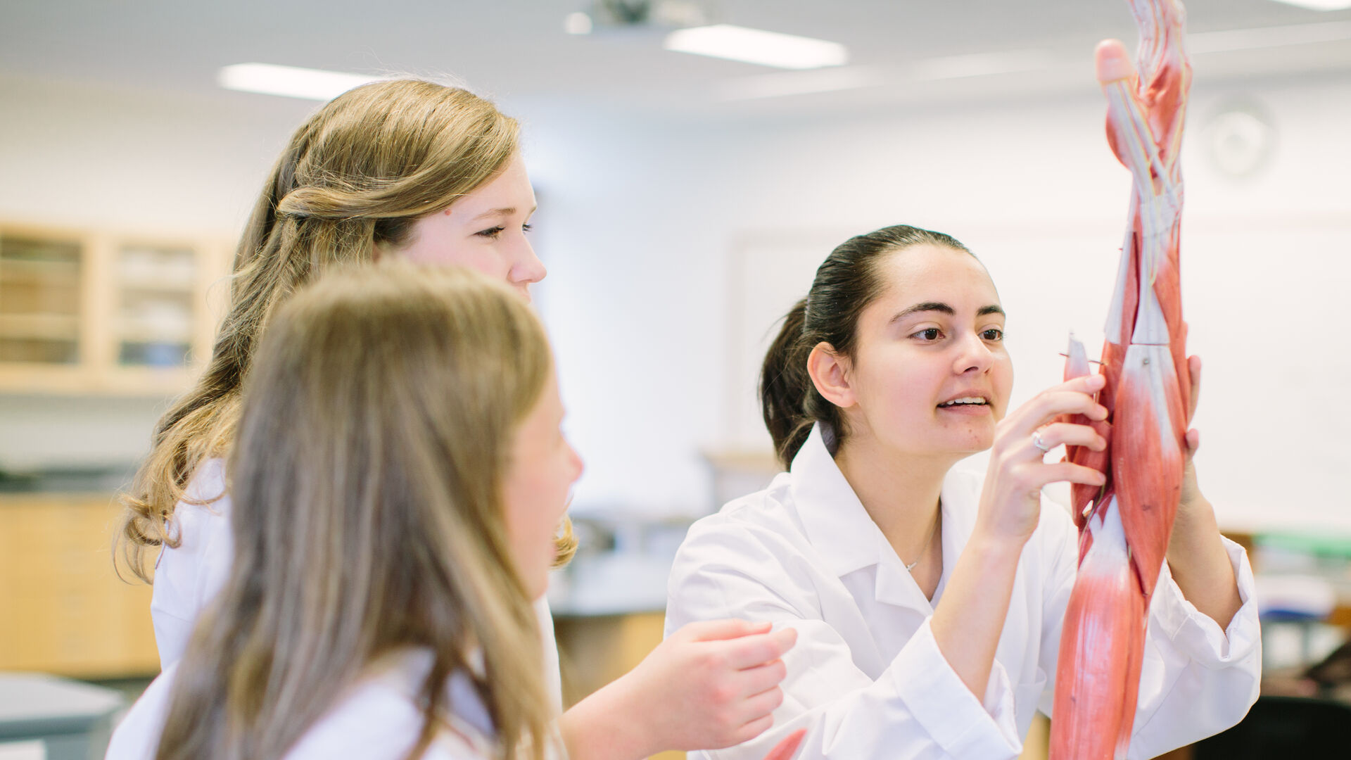 Pre-Physical Therapy | Houghton University