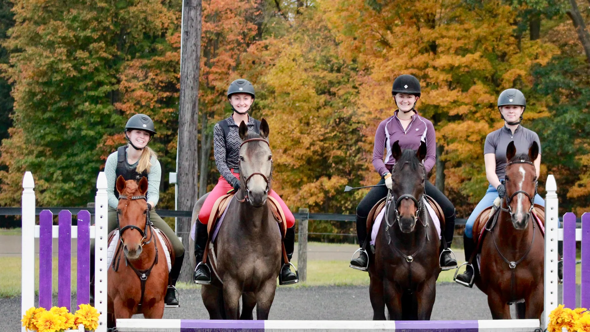 Equestrian Lesson Horses | Houghton University