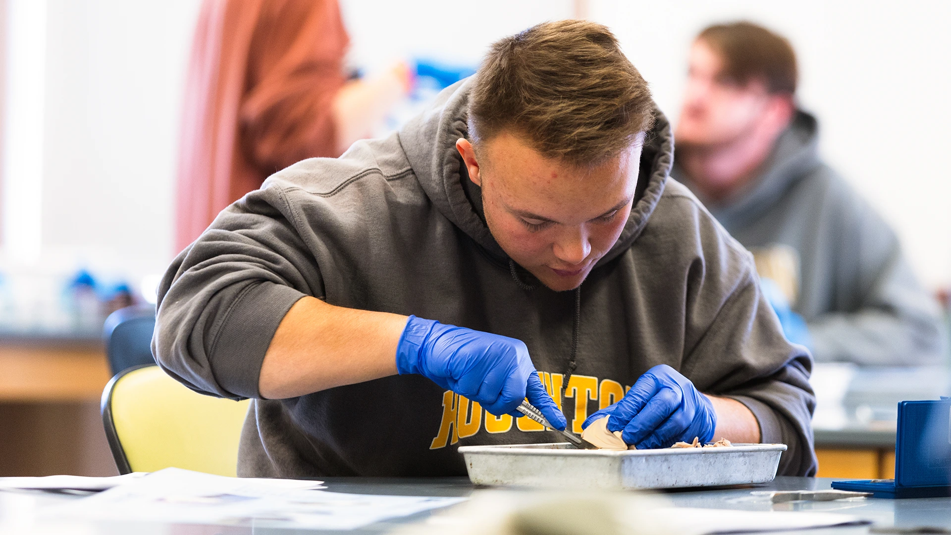 Biology Major The New Biology — Harvard University Press